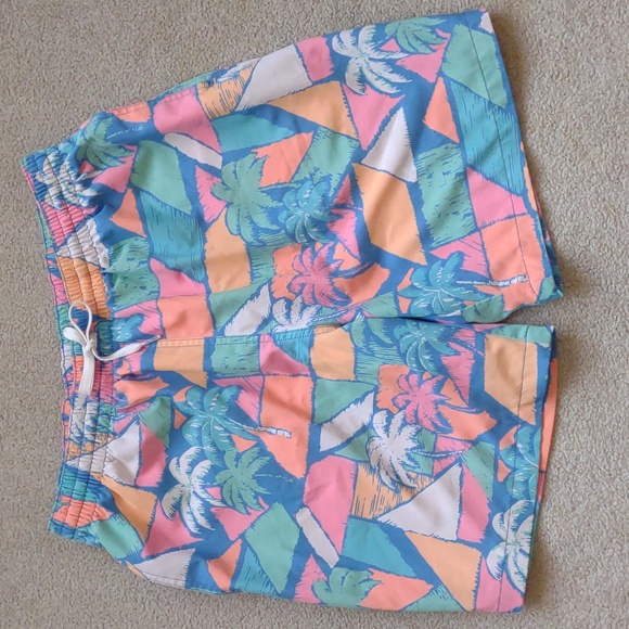 chubbies | Swim | Chubbies Neon Palm Tree Swim Trunks Sz L | Poshmark